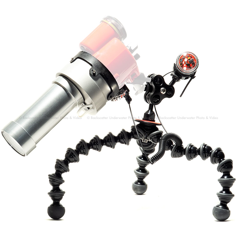 Backscatter Snoot Buddy Package for Inon Z240 & D2000 Strobe