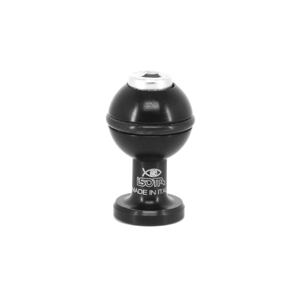 Isotta 1-inch Ball Mount with M8 thread