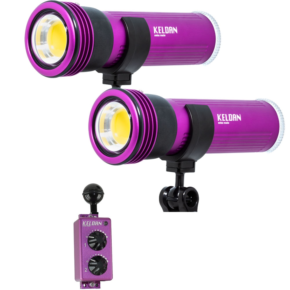 Dual Keldan Video 8XR CRI 17,000lm Video Lights with RC2 Remote Control