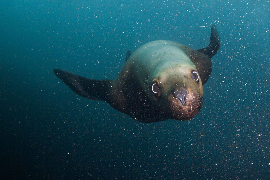 Backscatter Xterminator—Eliminate Backscatter In A Single Click ...