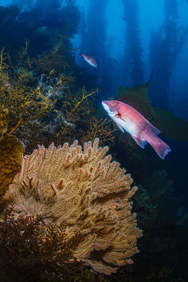 Backscatter Xterminator—Eliminate Backscatter In A Single Click ...