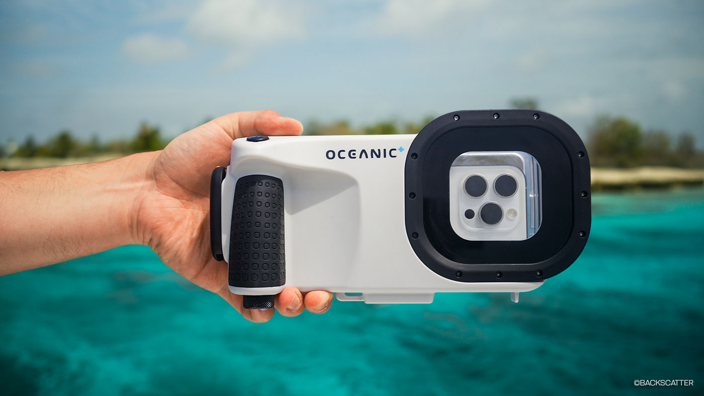 Underwater Photography - Backscatter