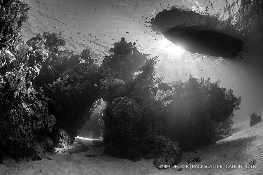 Underwater Photography - Backscatter