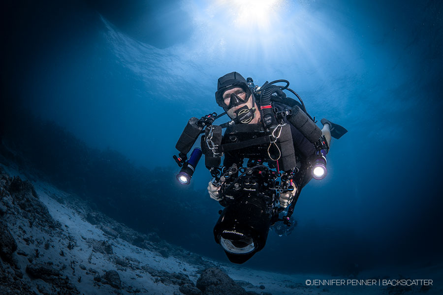 Canon R5 vs Canon R5C Underwater Review - The best underwater video ...