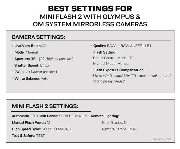 Backscatter Mini Flash 2 – How-To Guide - Underwater Photography ...