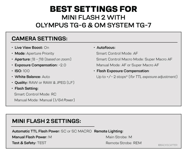 Backscatter Mini Flash 2 – How-To Guide - Underwater Photography ...