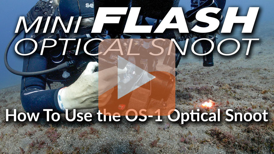 Backscatter Mini Flash 2 – How-To Guide - Underwater Photography ...