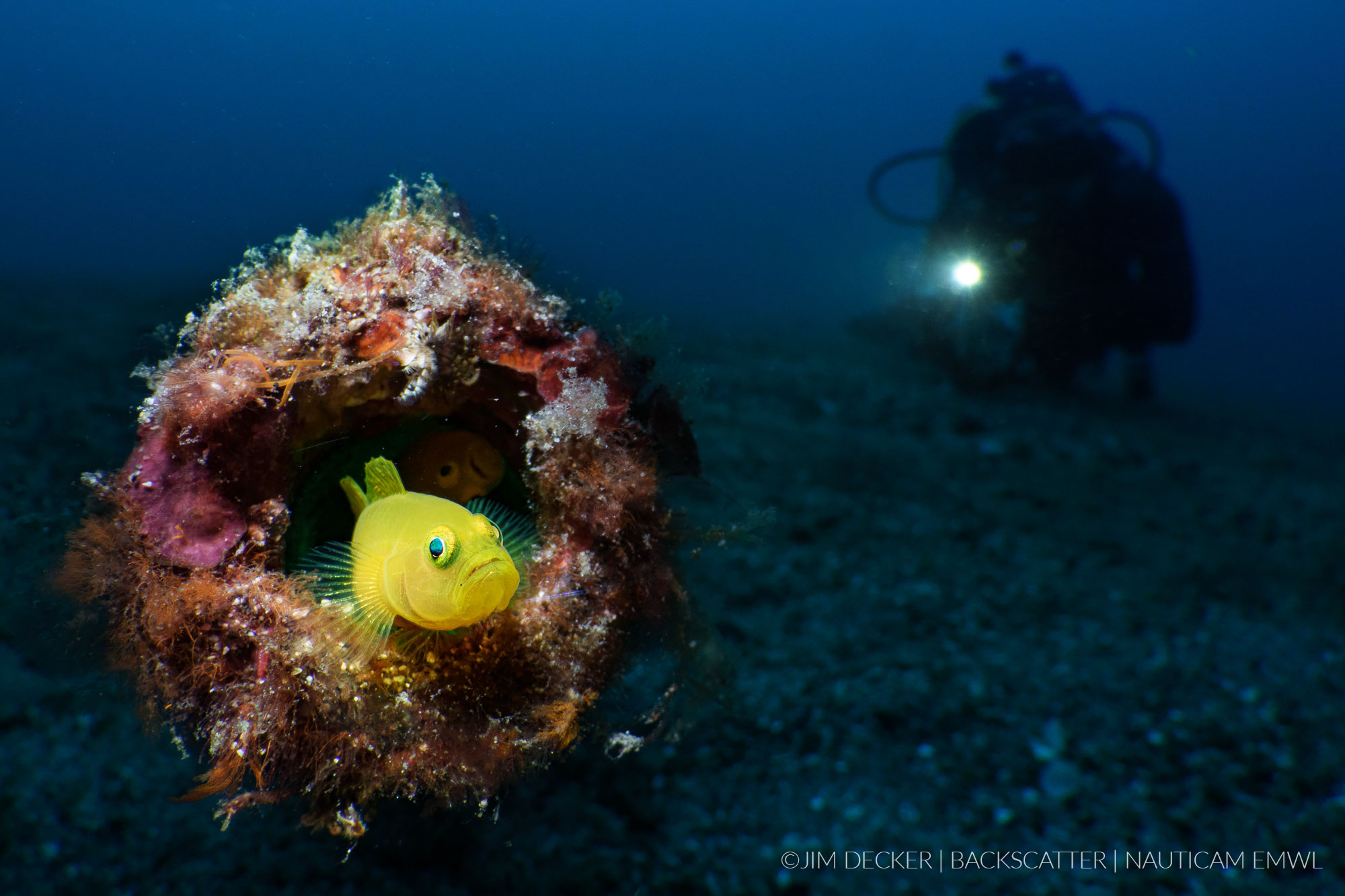 Nauticam EMWL Underwater Lens Review - Underwater Photography - Backscatter