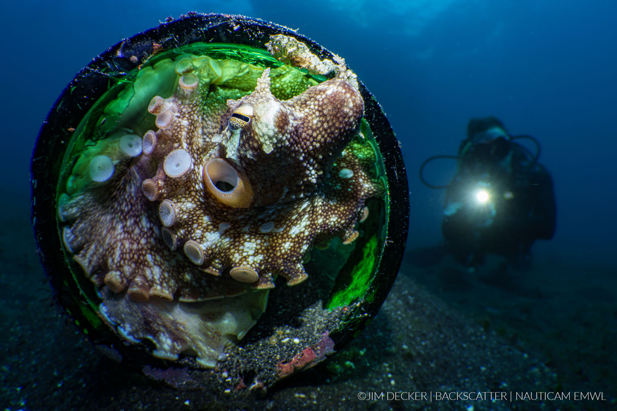 Nauticam EMWL Underwater Lens Review - Underwater Photography - Backscatter