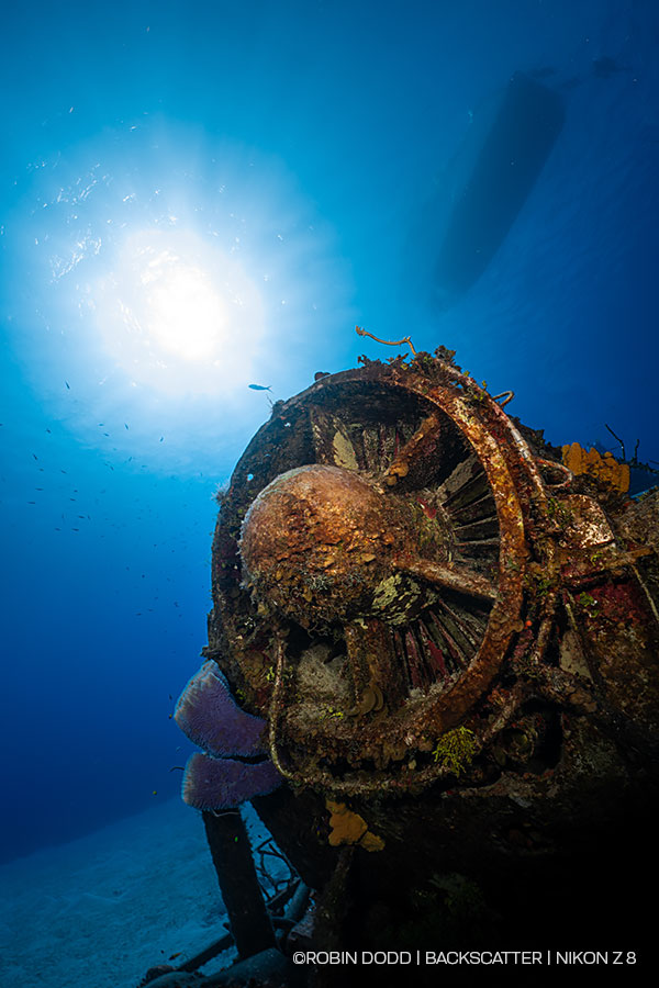 Underwater Photography - Backscatter