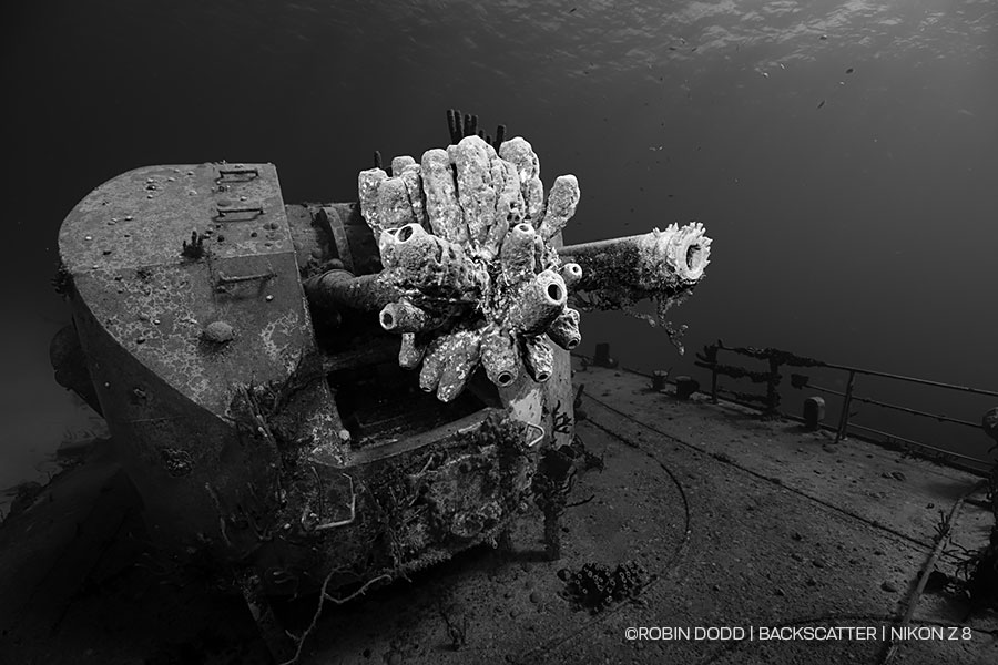 Underwater Photography - Backscatter