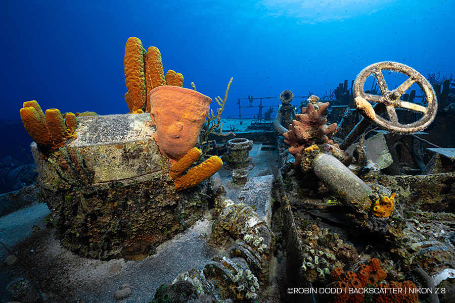 Underwater Photography - Backscatter