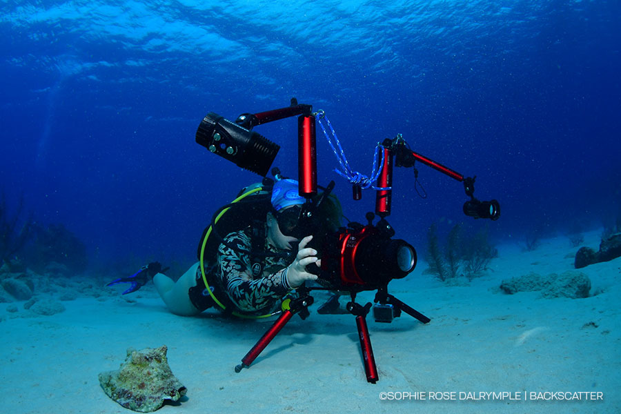 Underwater Photography - Backscatter
