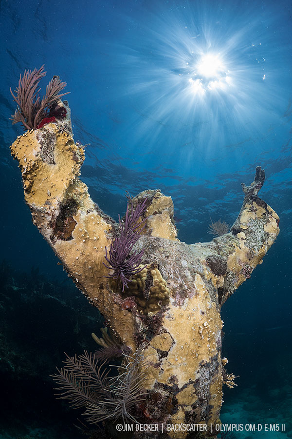 Underwater Photography - Backscatter