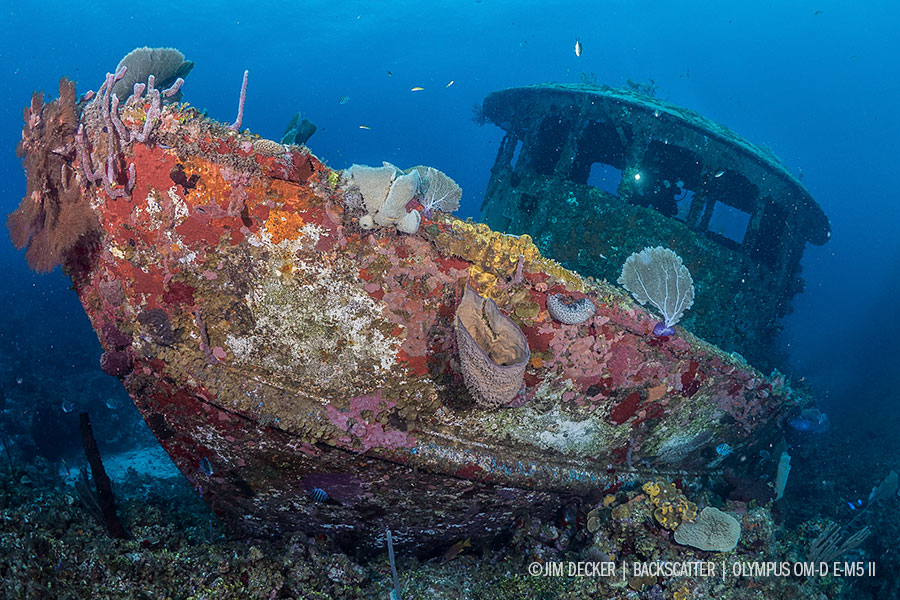 Underwater Photography - Backscatter