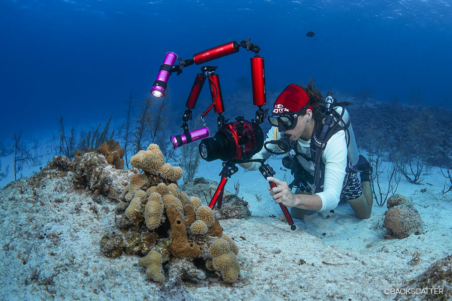 Underwater Photography - Backscatter