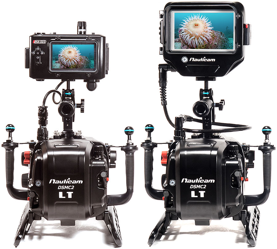 Nauticam Red Weapon Underwater Housing Review - Underwater Photography ...