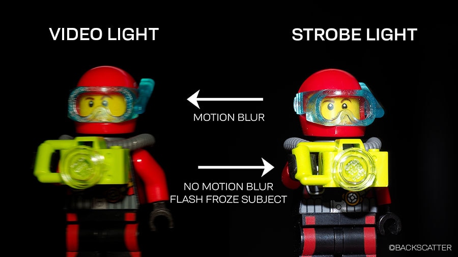 Strobes vs. Video Lights for Underwater Photography - Underwater ...