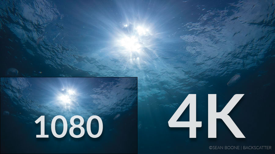 Complete Guide For GoPro HERO13 Best Underwater Video & Photo Settings ...