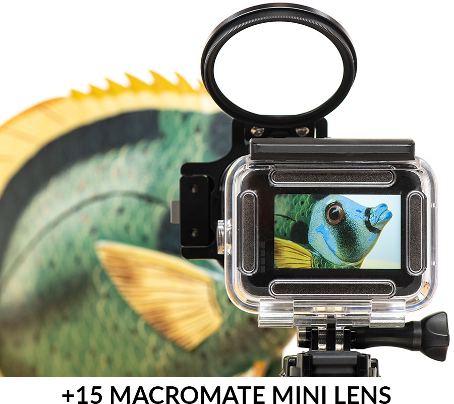 Complete Guide for GoPro HERO 11 & 12 Best Underwater Video & Photo ...