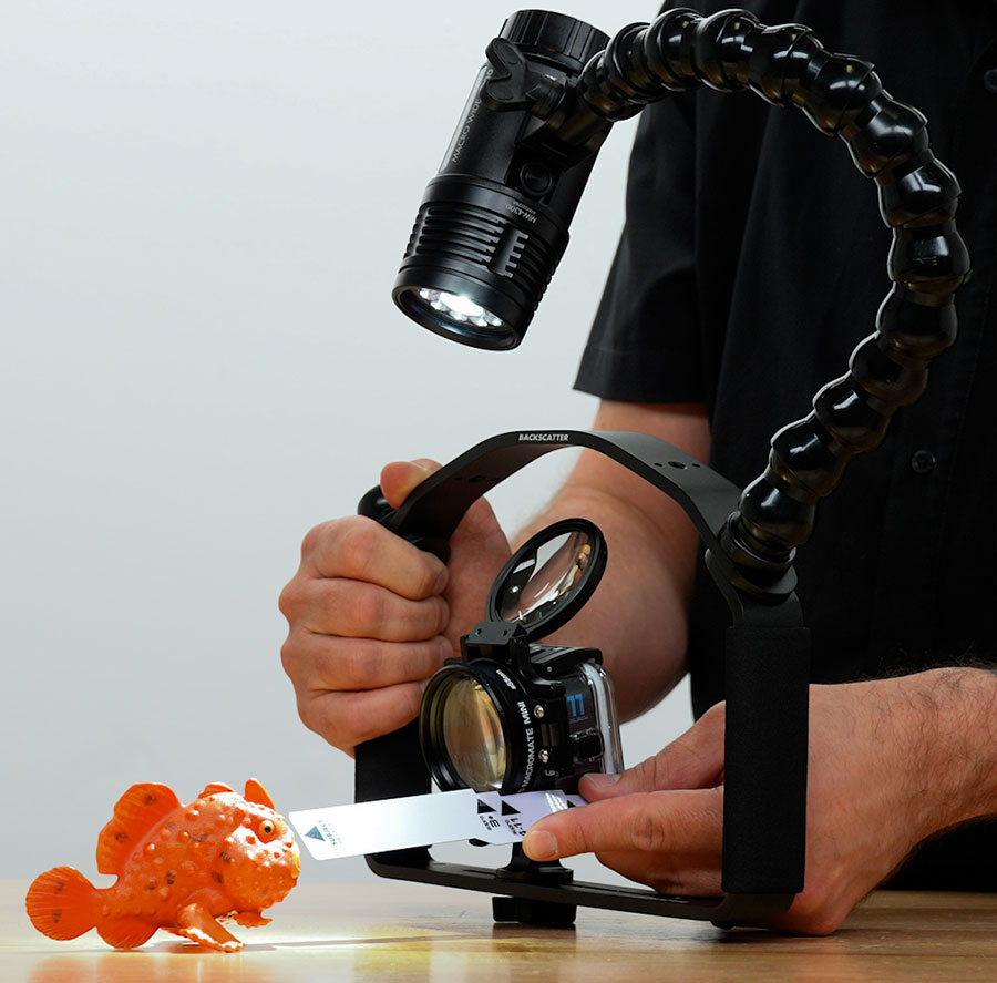 Complete Guide for GoPro HERO 11 & 12 Best Underwater Video & Photo ...