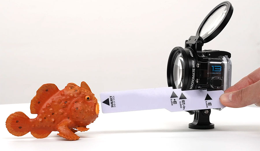 Complete Guide For GoPro HERO13 Best Underwater Video & Photo Settings ...