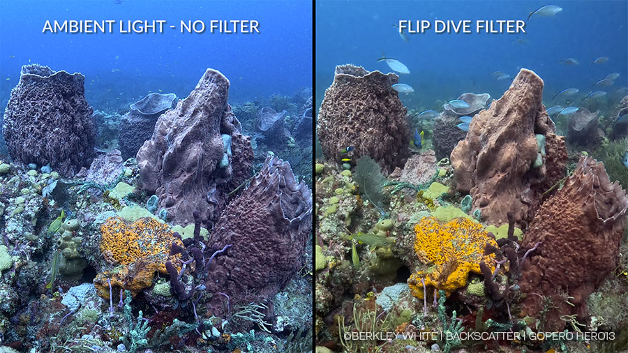 GoPro HERO13 Camera & Underwater Housing Review - Underwater ...