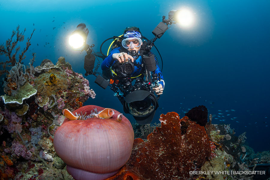Underwater Photography - Backscatter