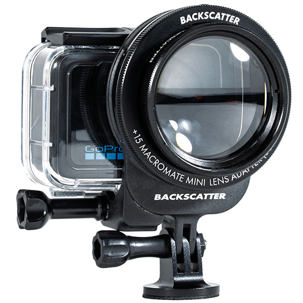 Supercharge Your Underwater GoPro Video With The Best Techniques & Gear ...