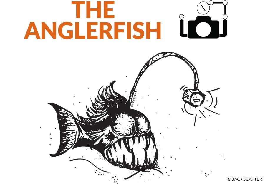 The Zen of Underwater Strobe Placement - Underwater Photography ...