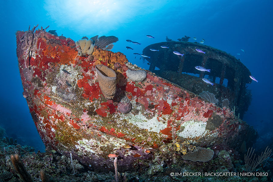 The Zen of Underwater Strobe Placement - Underwater Photography ...