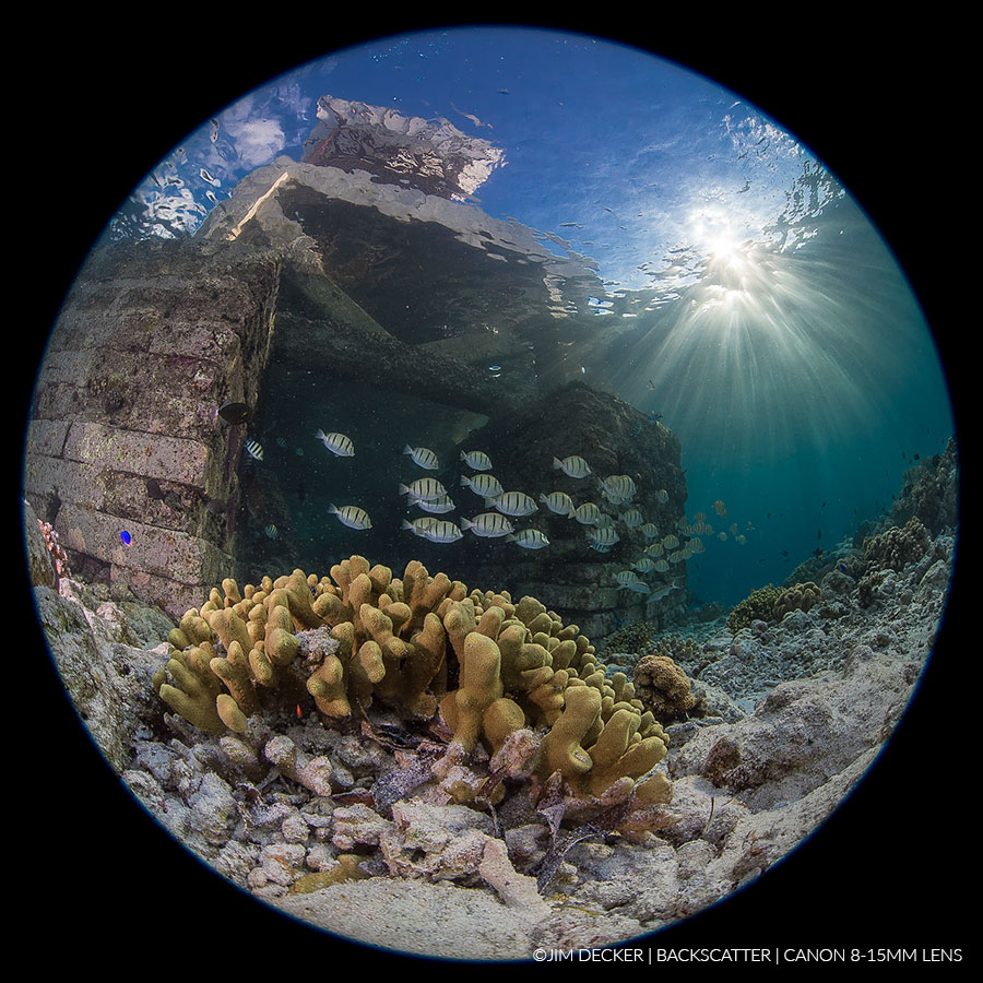Underwater Photography - Backscatter
