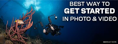 Backscatter Underwater Photography & Video - Backscatter