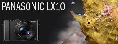 Backscatter Underwater Photography & Video - Backscatter