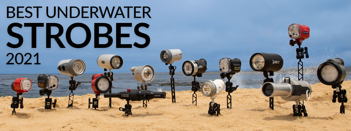 Best Underwater Lighting of 2022: Strobes & Flashes - Underwater ...