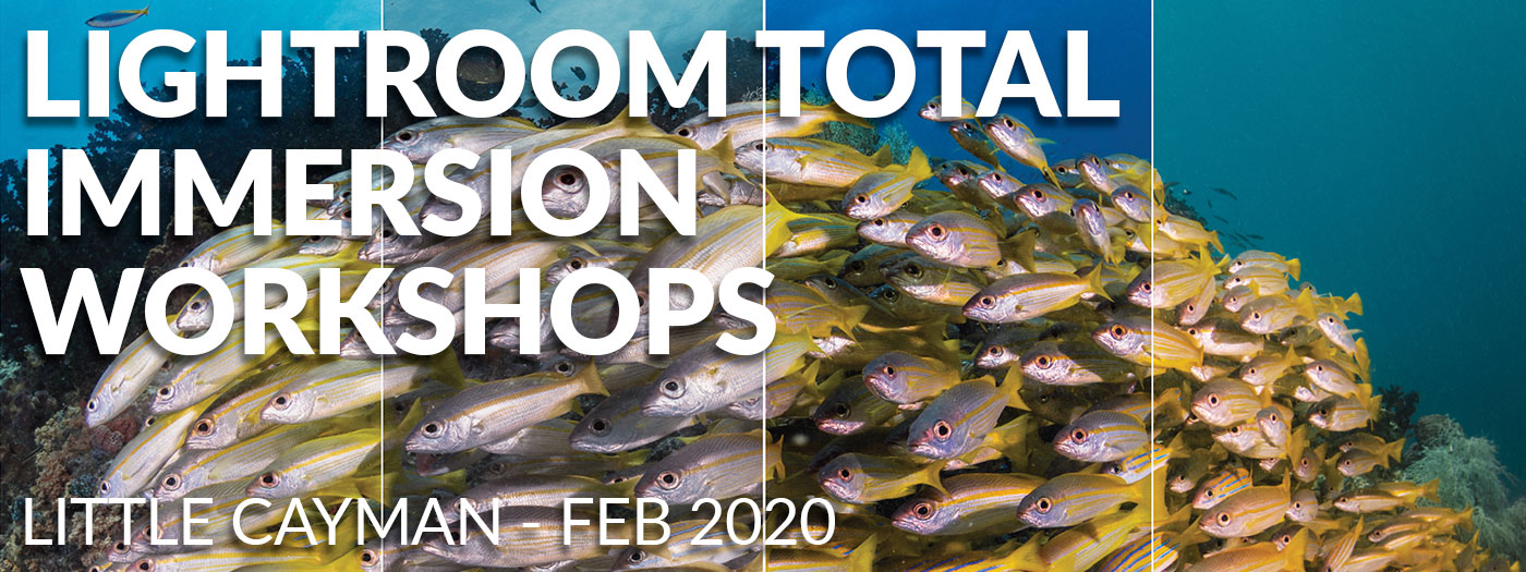 Lightroom Total Immersion Workshop - February 1-8, 2020 - Underwater ...