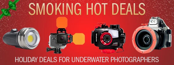 Backscatter Underwater Photography & Video - Backscatter