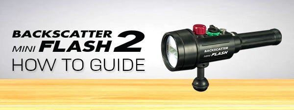 Backscatter Mini Flash 2 – How To Guide - Underwater Photography ...